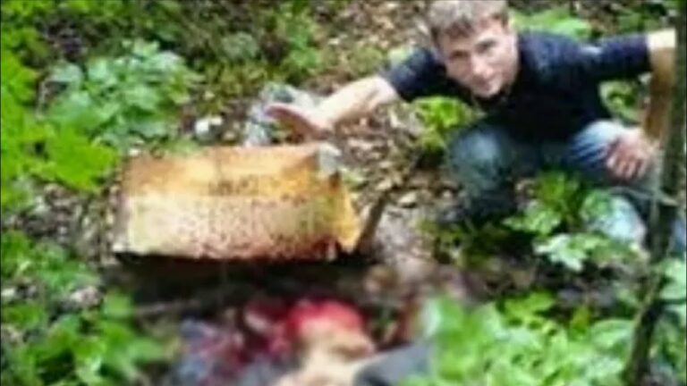 Watch 3 guys 1 hammer original video