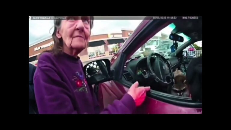 raccoon meth pipe video